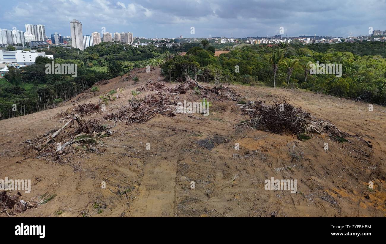 salvador, bahia, brazil - september 2, 2024: deforestation area in ...