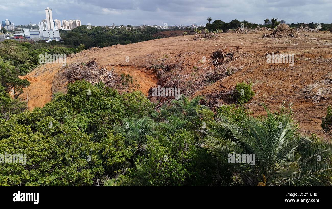 salvador, bahia, brazil - september 2, 2024: deforestation area in ...