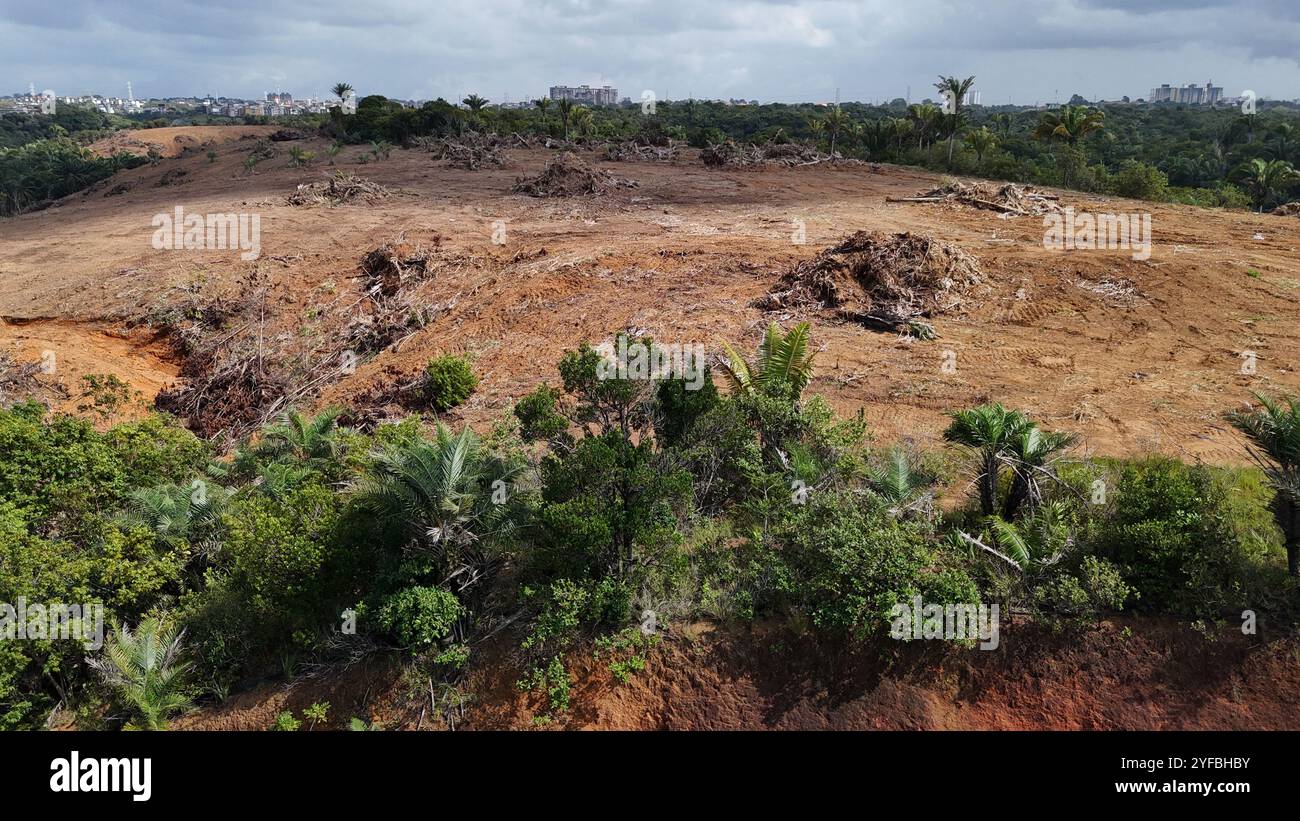 salvador, bahia, brazil - september 2, 2024: deforestation area in ...