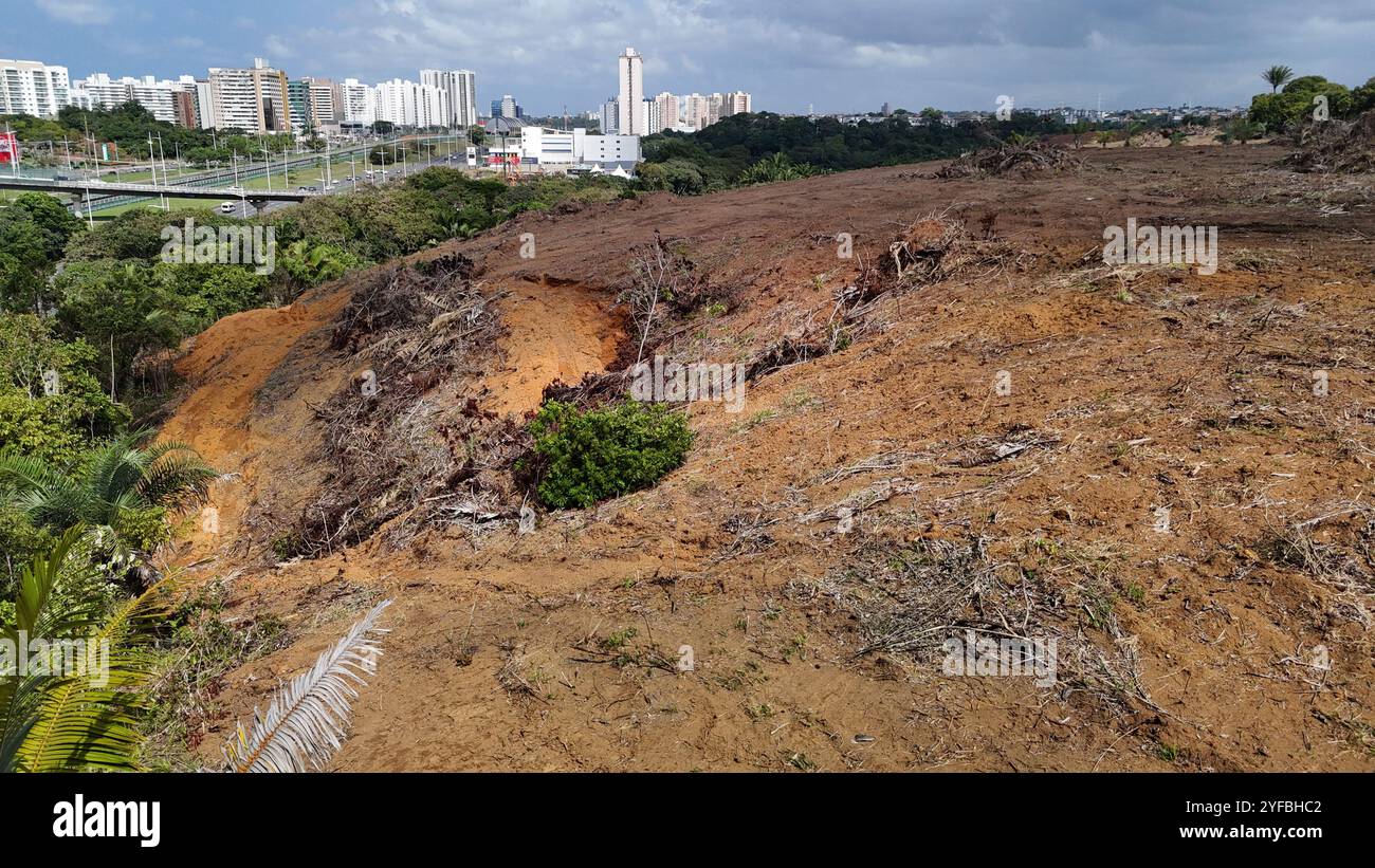 salvador, bahia, brazil - september 2, 2024: deforestation area in ...