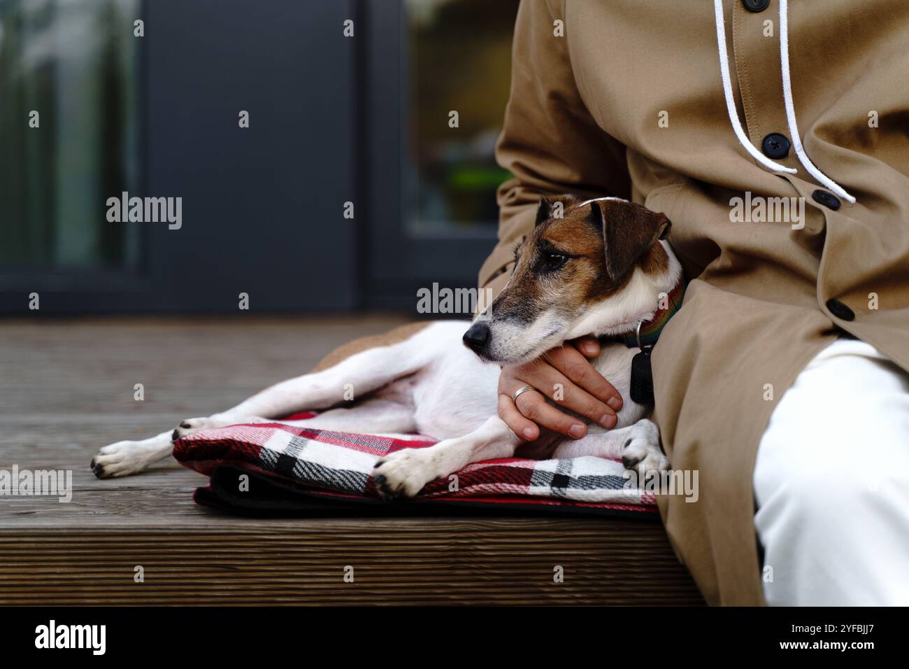 The dog and the owner rest on the terrace near the house. white face ...