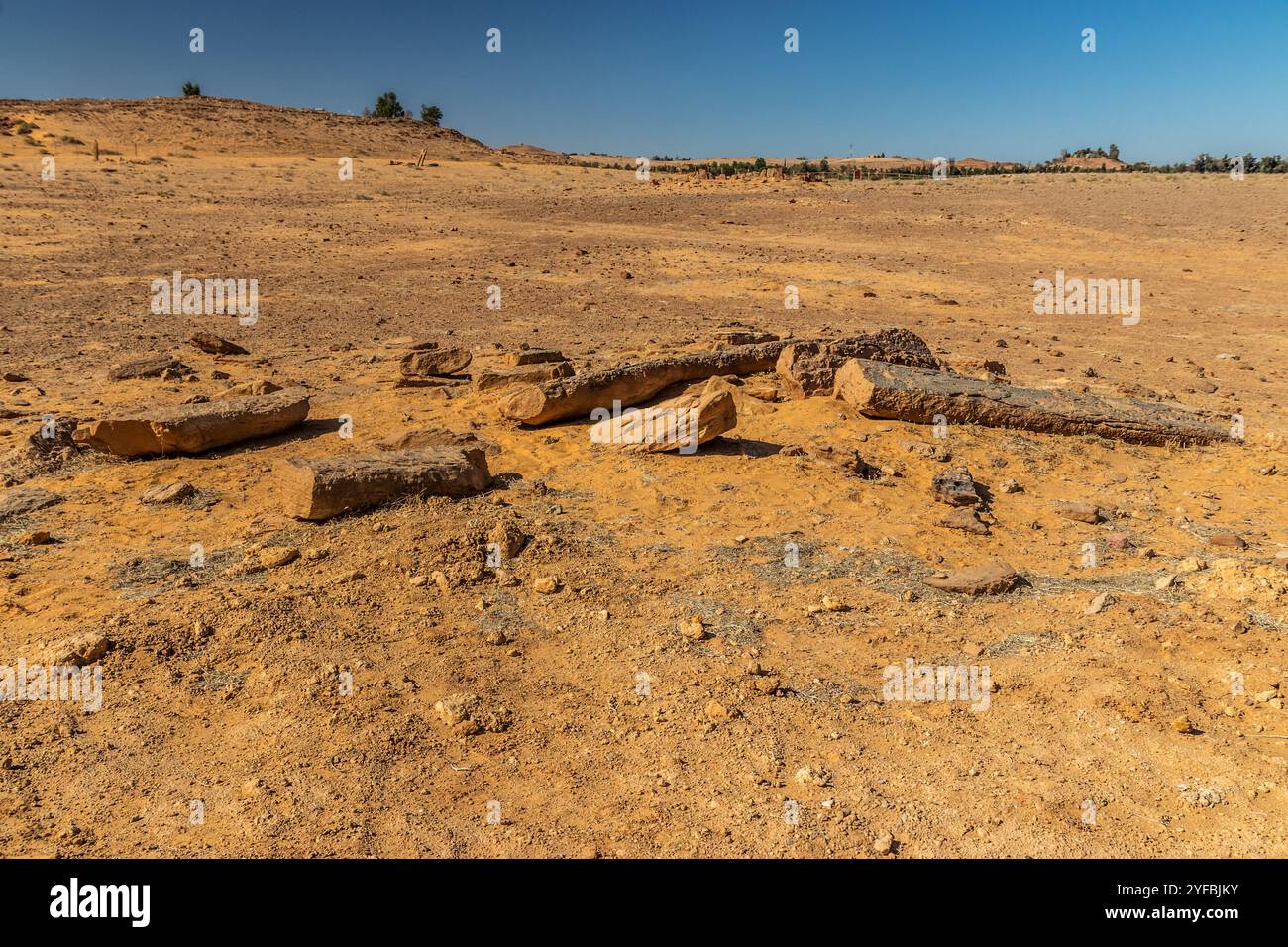 Rajajil (Rajajel) columns in Sakaka, Saudi Arabia Stock Photo - Alamy