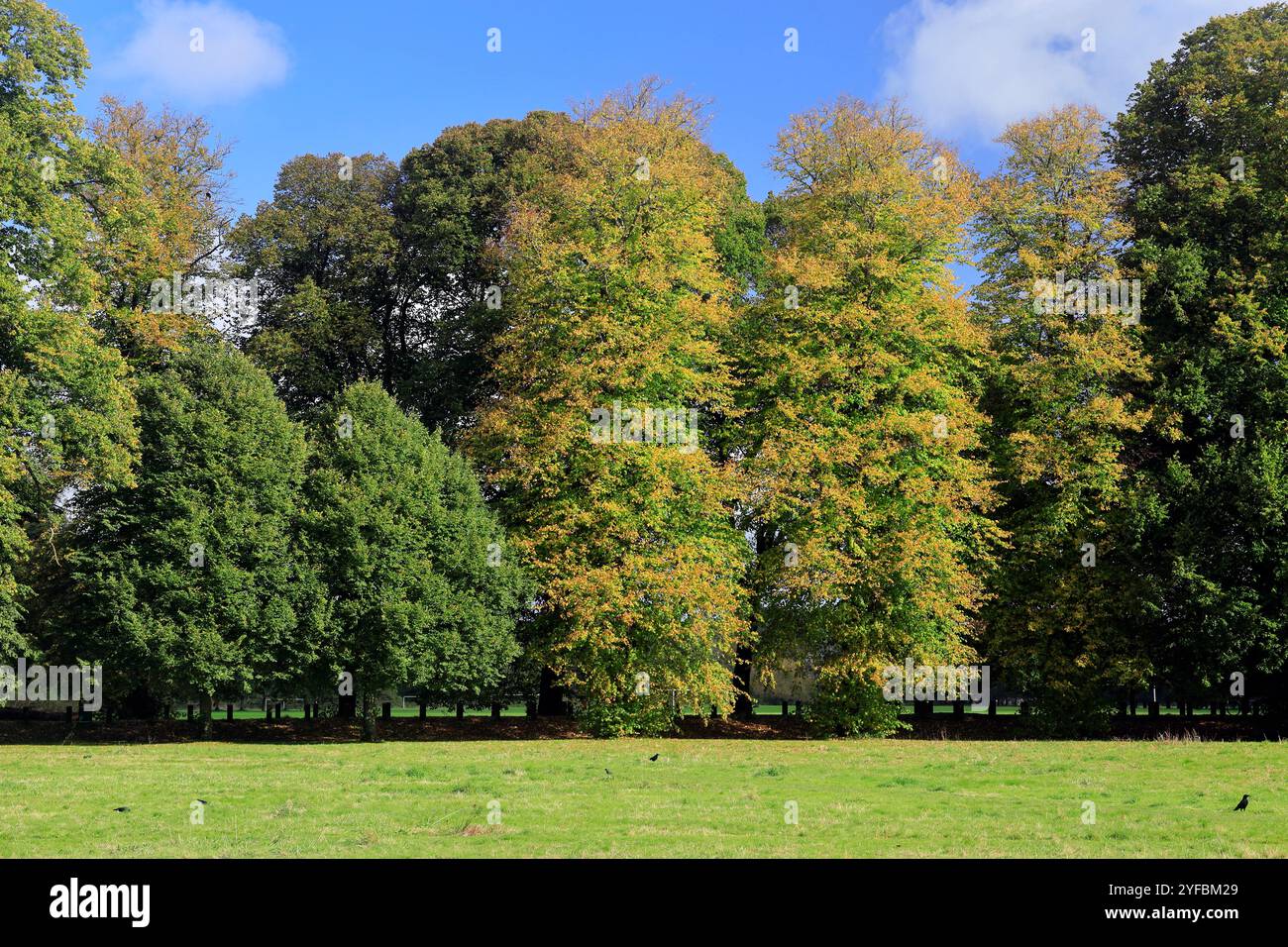 Scene of fields hi-res stock photography and images - Alamy