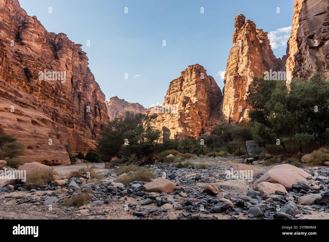Steep cliffs of Wadi al Disah canyon, Saudi Arabia Stock Photo - Alamy
