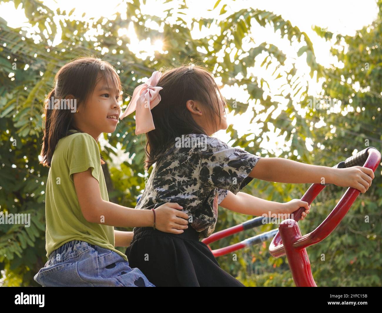 Sisters exercise outdoors in a park on exercise equipment during summer ...