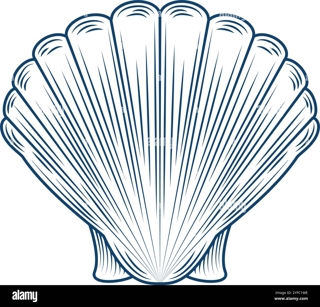 pearl shell sketch style Stock Vector Image & Art - Alamy