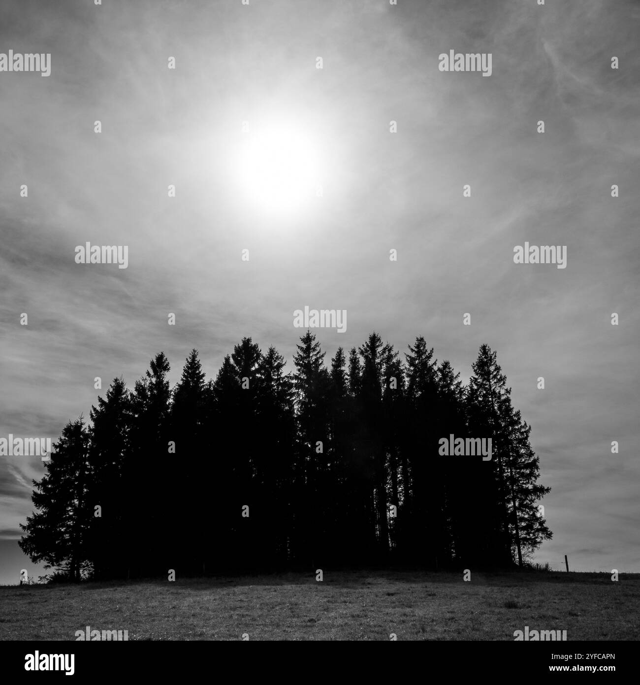 Cloudy weather in forest Black and White Stock Photos & Images - Alamy