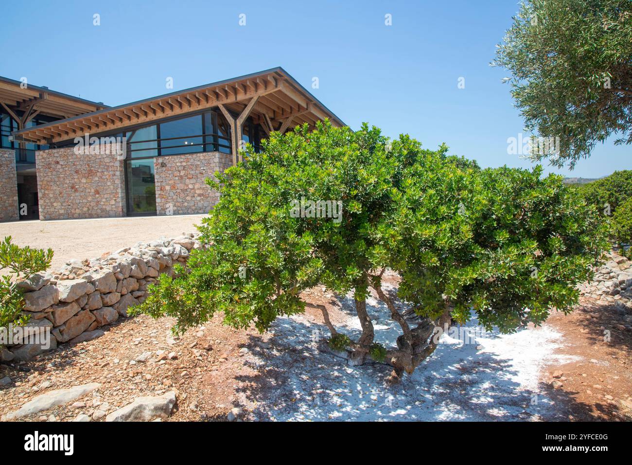 Chios museum hi-res stock photography and images - Alamy