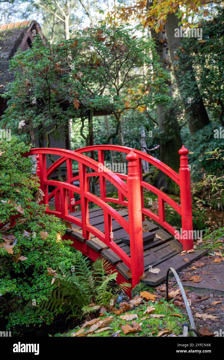 Traditional japanese wooden bridge in botanical garden hi-res stock photography and images - Alamy