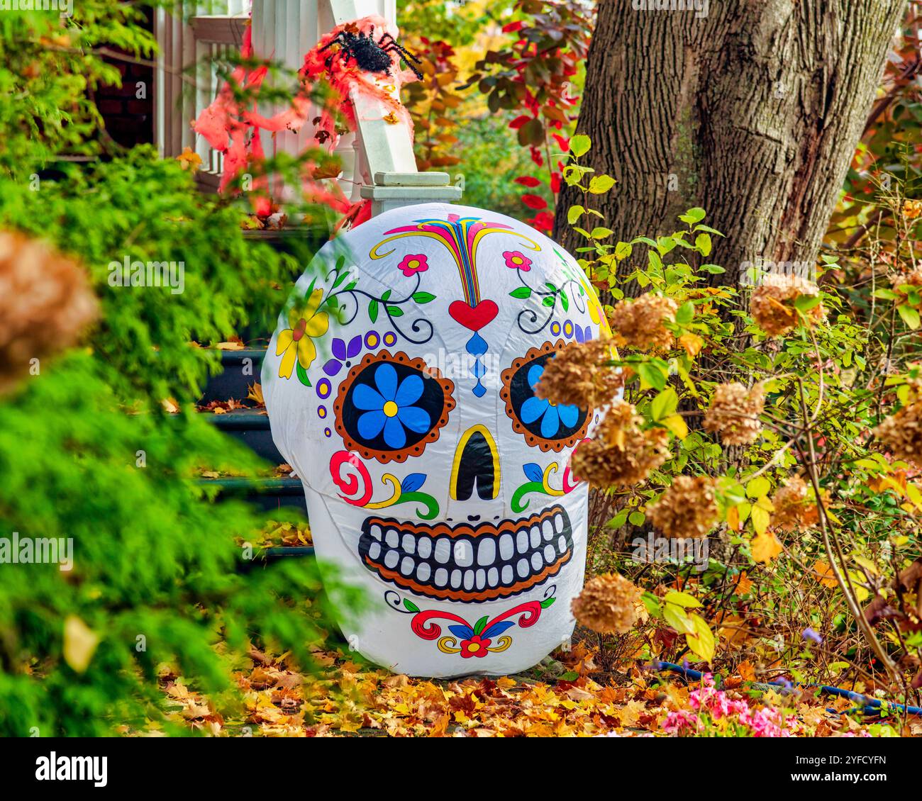 Ghoulish skull halloween 2024 hi-res stock photography and images - Alamy