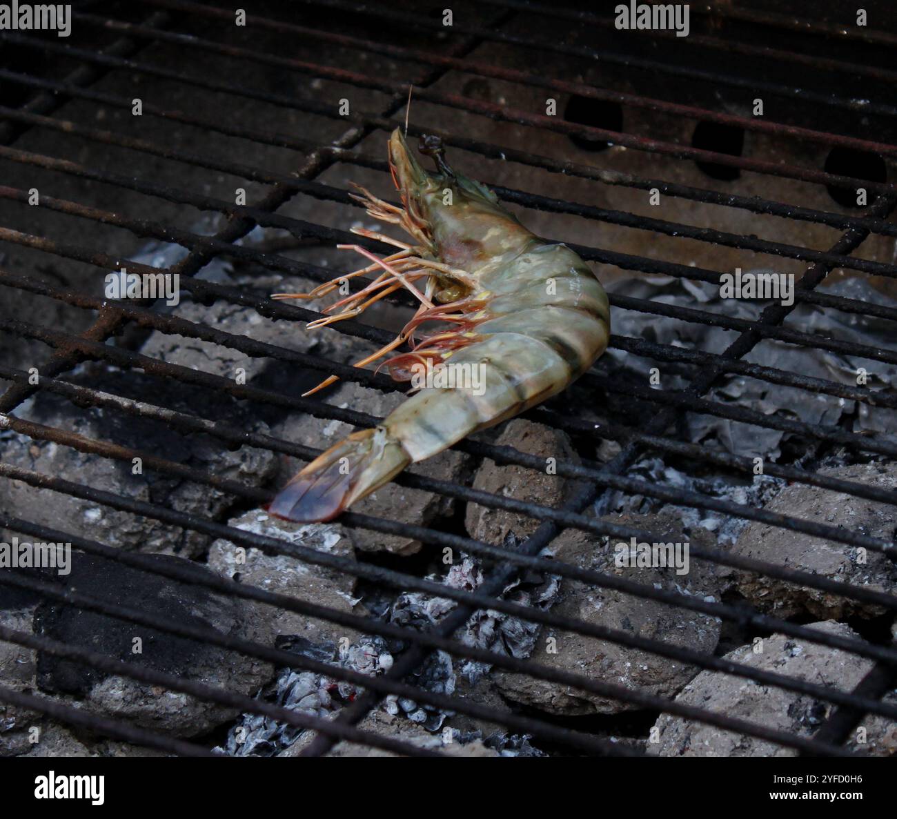 Cooking fresh tiger prawn grilled. Close up Stock Photo - Alamy