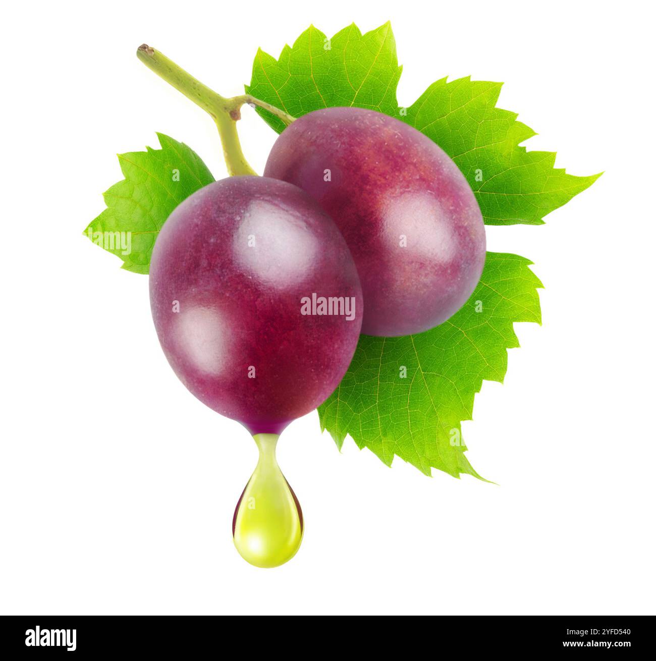 Two grape berries with a drop of seed oil isolated on white background ...