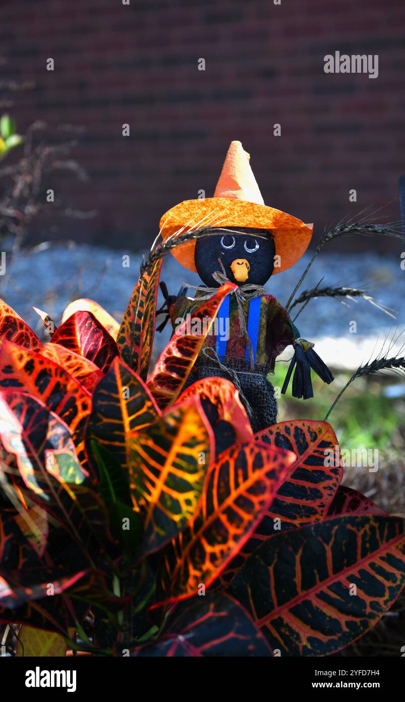 Celebrating Fall at the Brandon, Mississippi library Stock Photo - Alamy