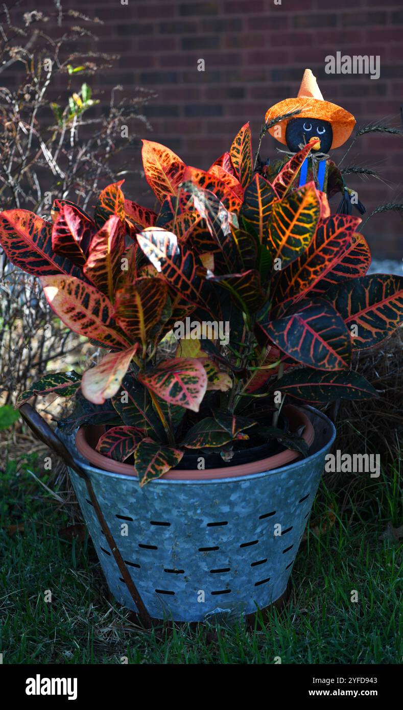 Celebrating Fall at the Brandon, Mississippi library Stock Photo - Alamy