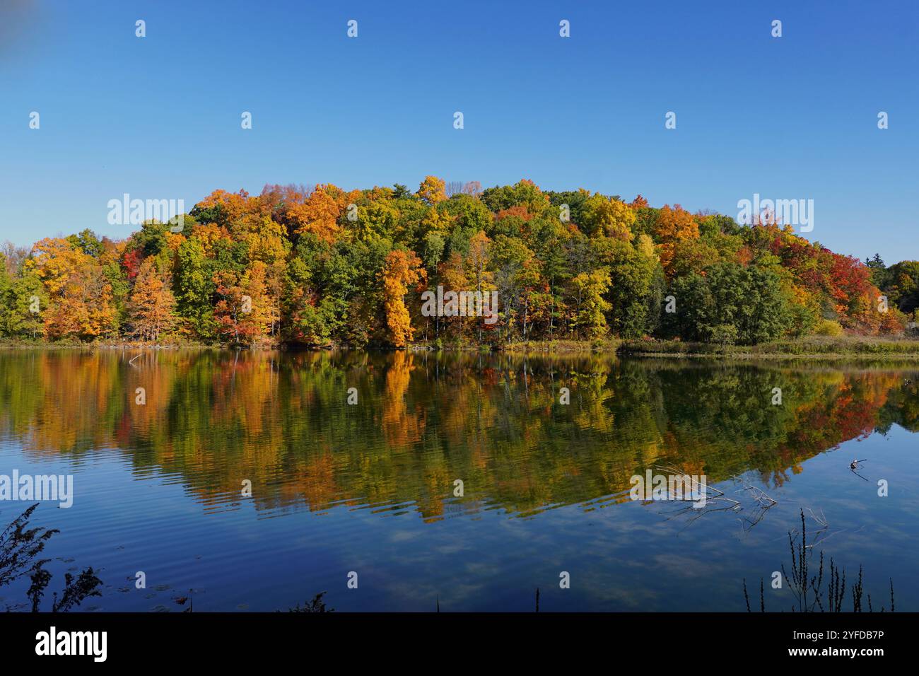 Fall Color Reflecting in Beebe Lake on Cornell's Campus in Ithaca, New ...