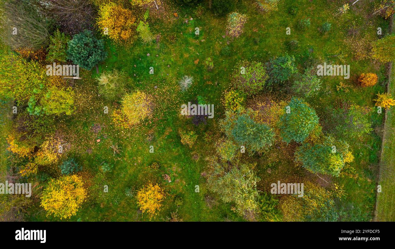 Lebendige wiese hi-res stock photography and images - Alamy