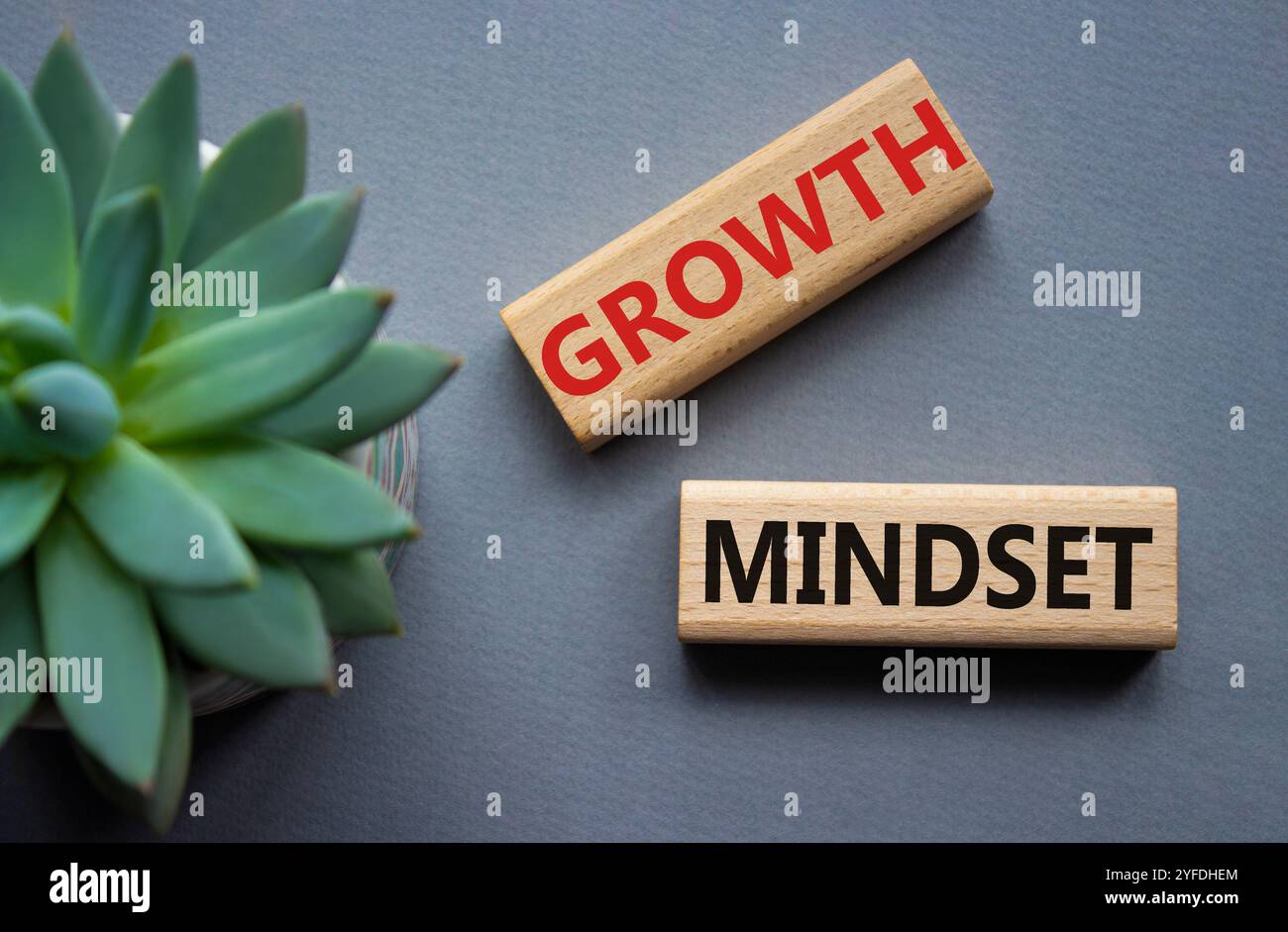 Growth Mindset symbol. Concept word Growth Mindset on wooden blocks ...