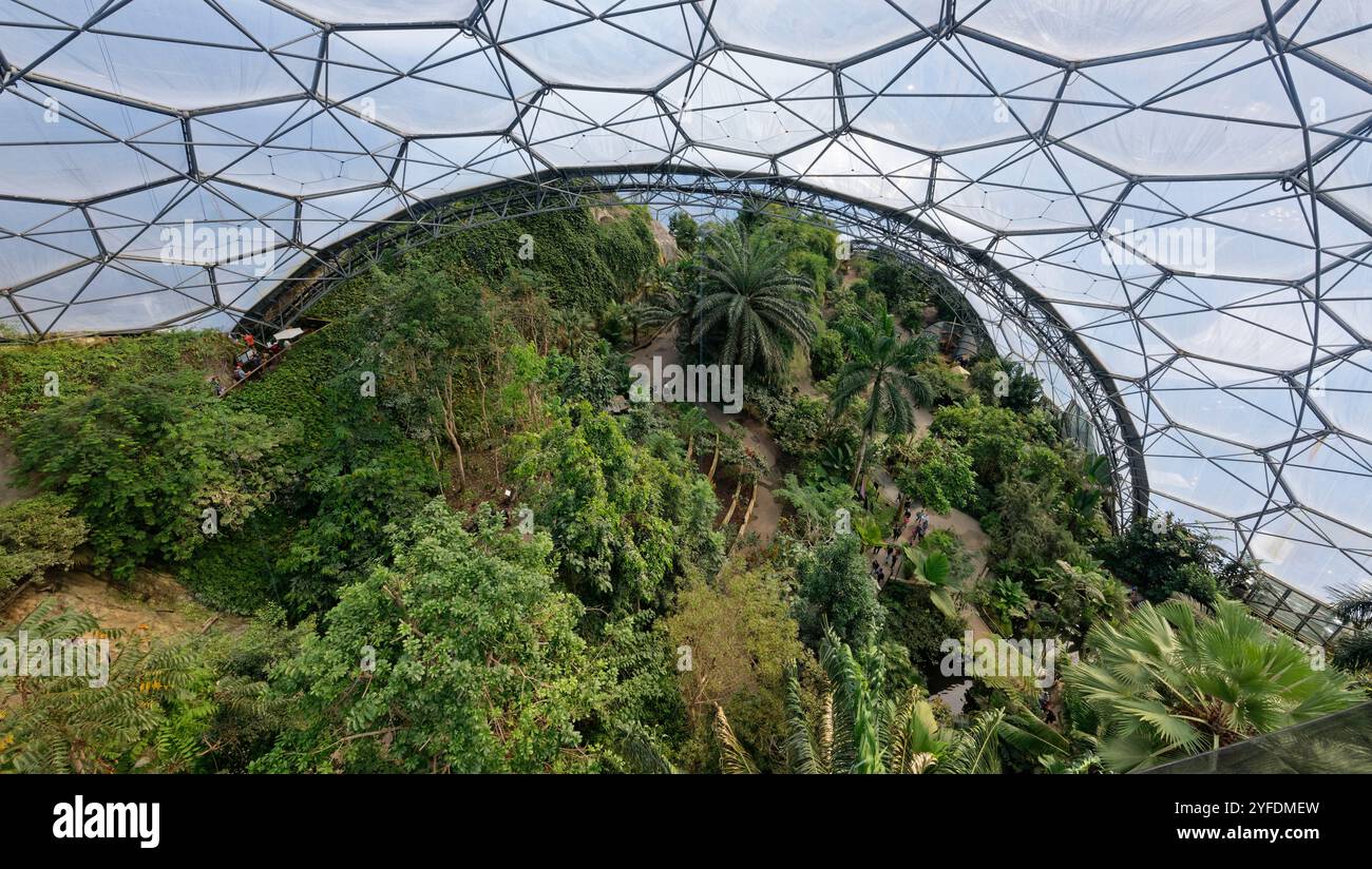 View down from the Rainforest Lookout platform in the Rainforest Biome ...