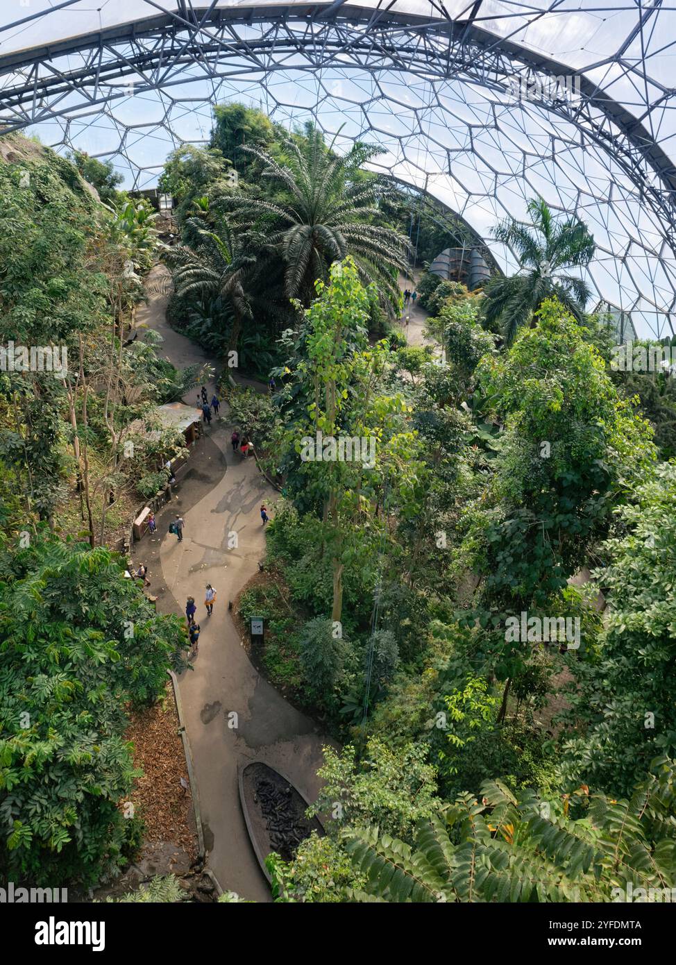 View down from the Rainforest Lookout platform in the Rainforest Biome ...