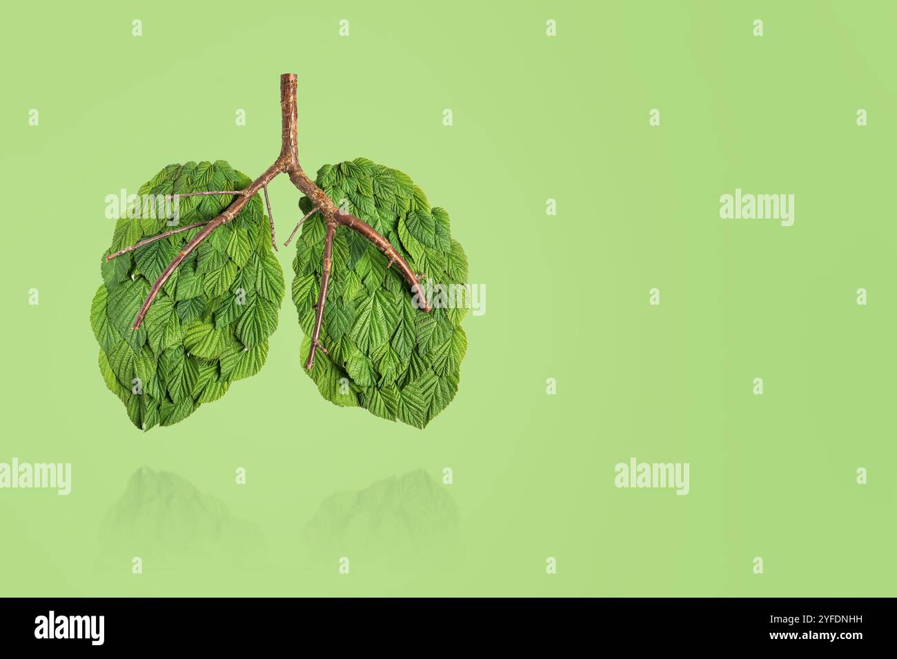 Mock-up in the shape of human lungs made of green leaves with ...