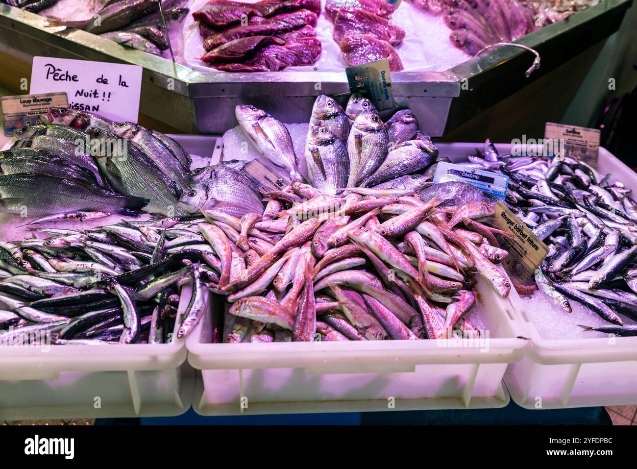 Fresh fish, wild sea bass, sea bream, grayling, sardine and red mullet ...