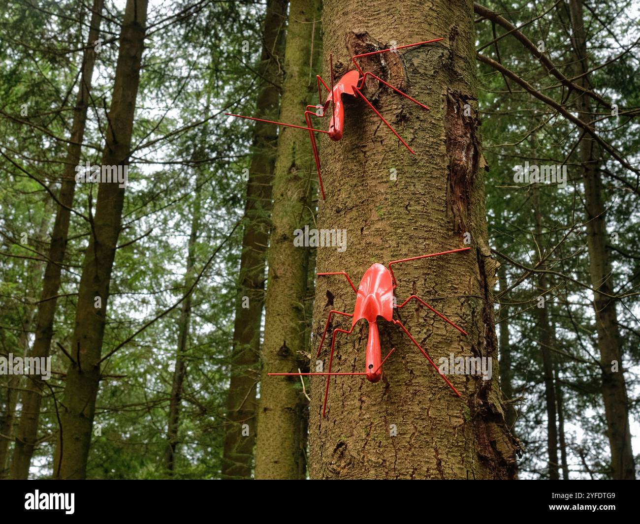 Bugs view sculpture hi-res stock photography and images - Alamy