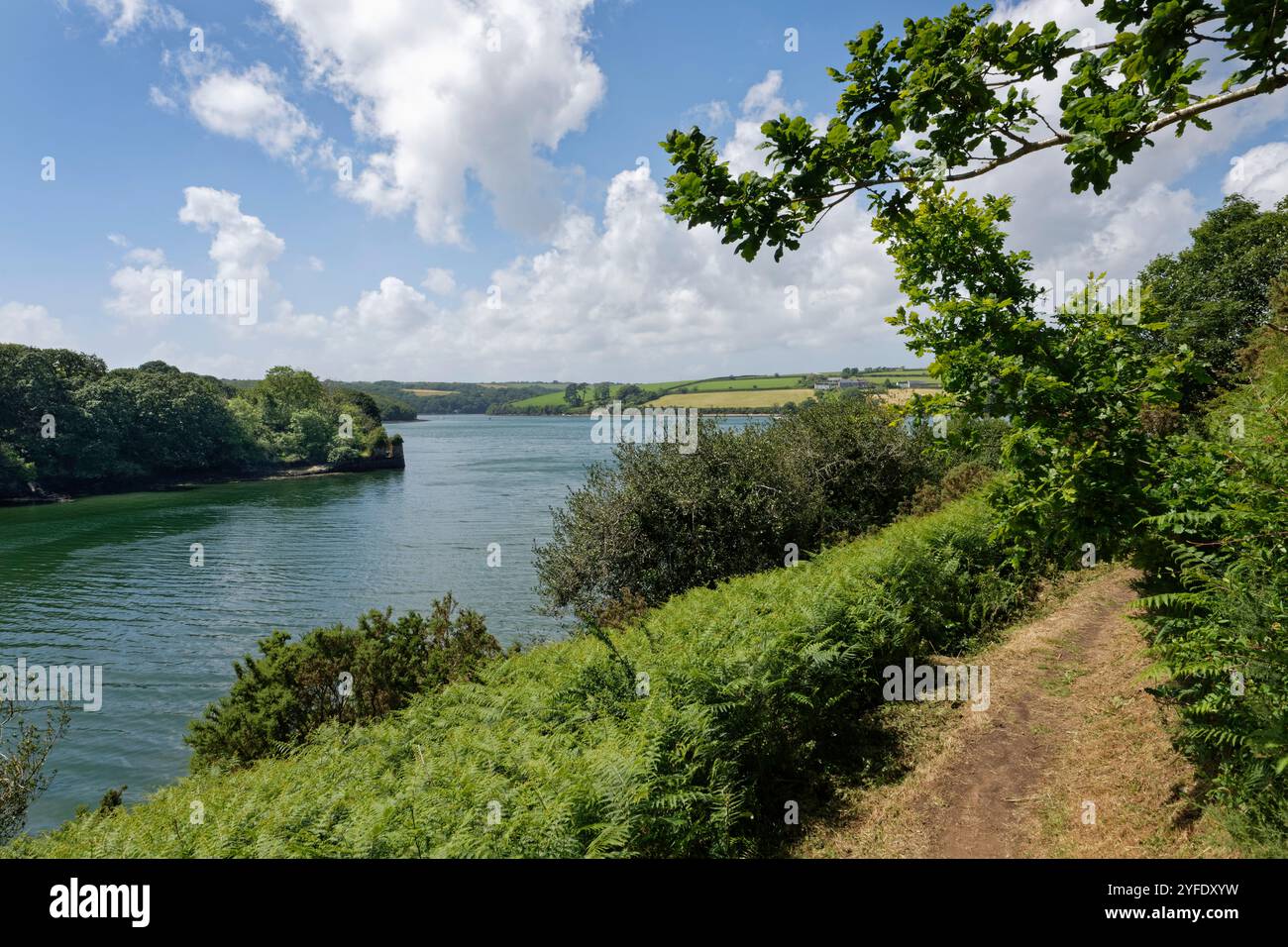 Helford river woods hi-res stock photography and images - Alamy