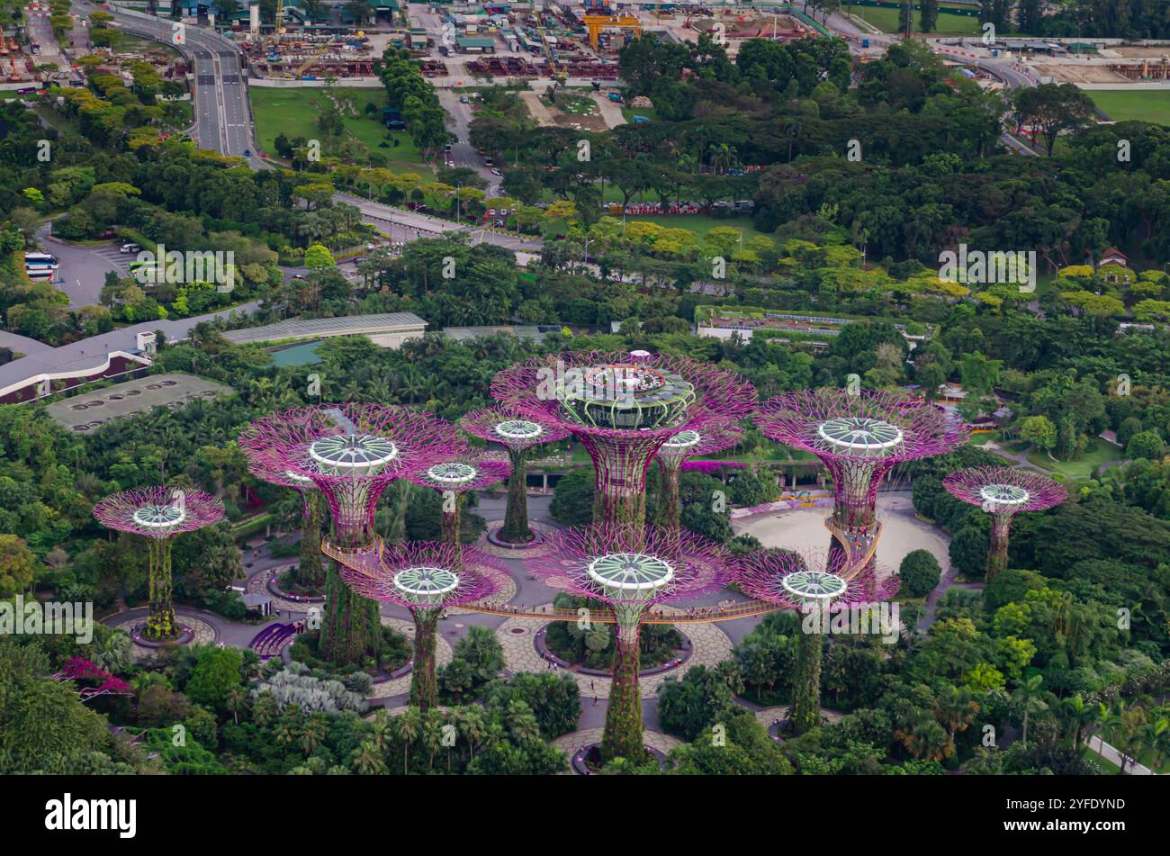 Supertree Grove trees in the Gardens by the Bay Stock Photo - Alamy