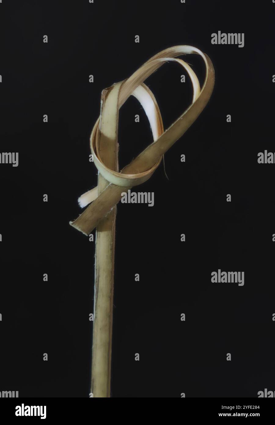 End of stick hi-res stock photography and images - Alamy