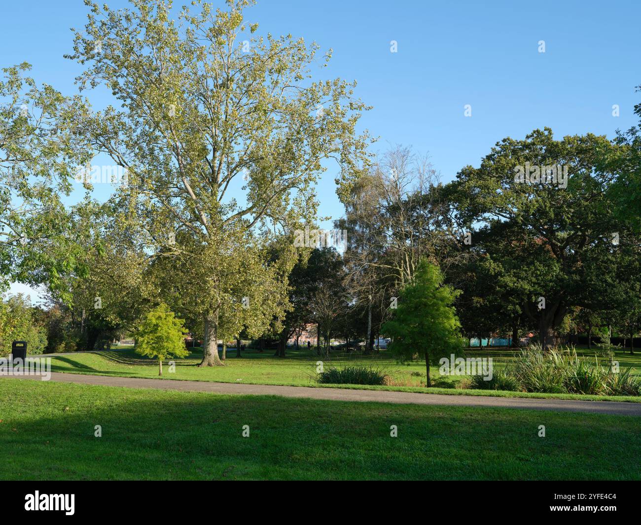 Nicholas Everitt Park Oulton Broad Suffolk Stock Photo - Alamy