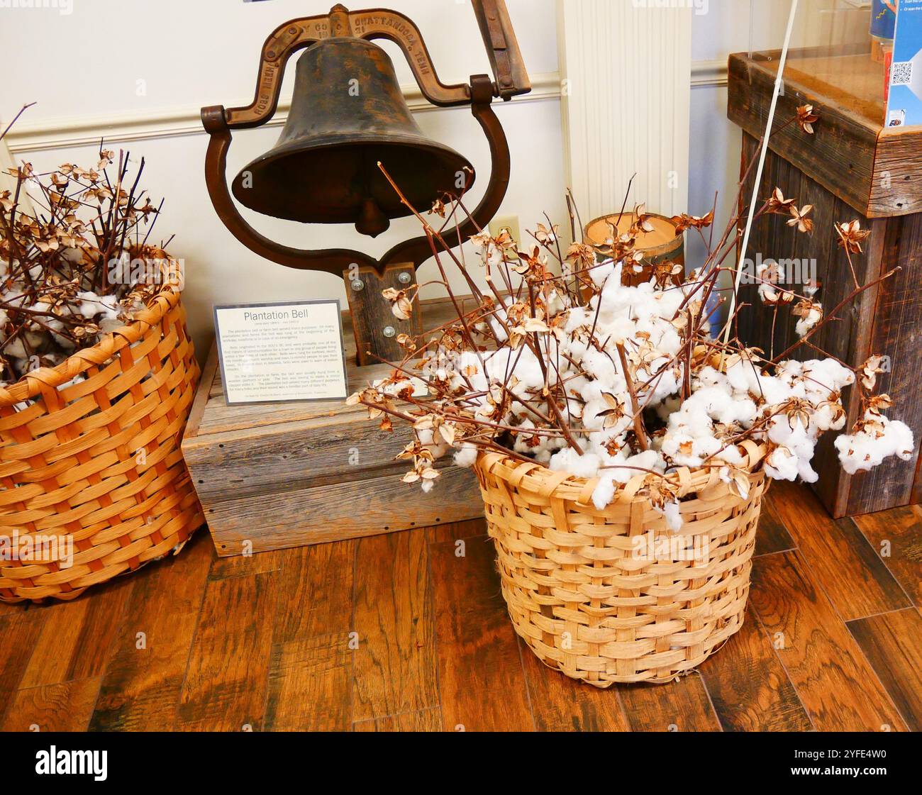 Nutbush hi-res stock photography and images - Alamy