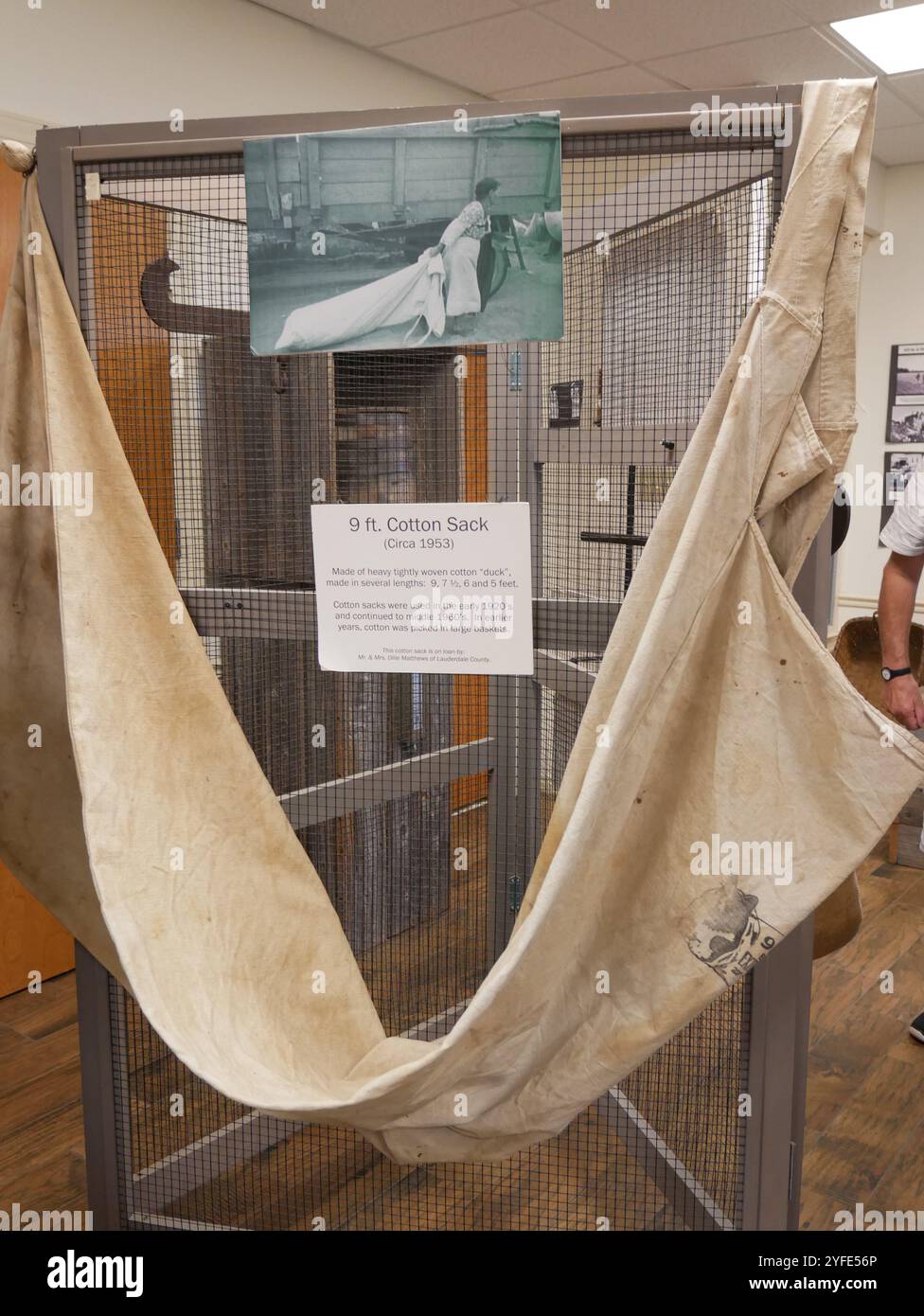 Nutbush hi-res stock photography and images - Alamy