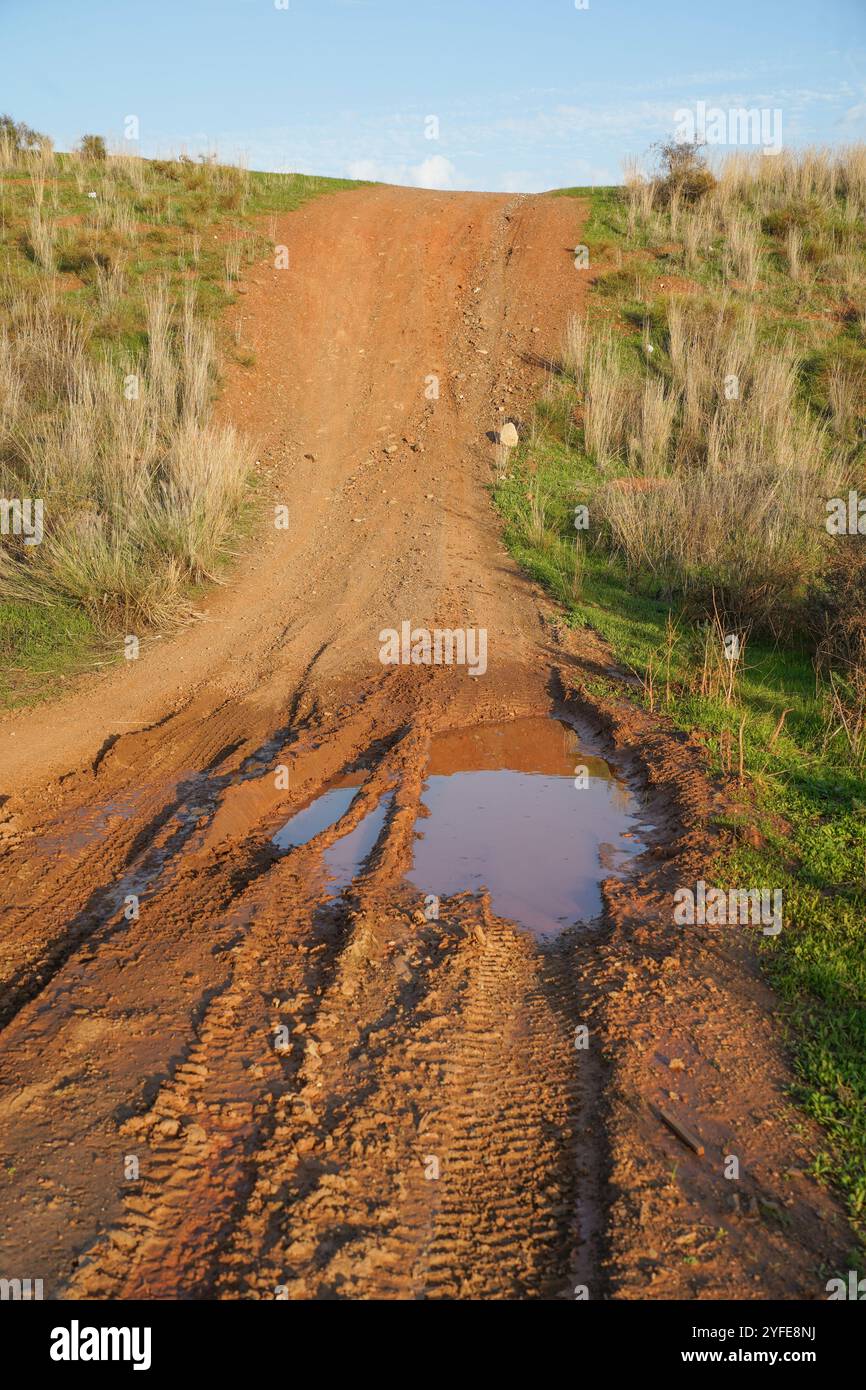 Muddy puddle road after rain hi-res stock photography and images - Alamy