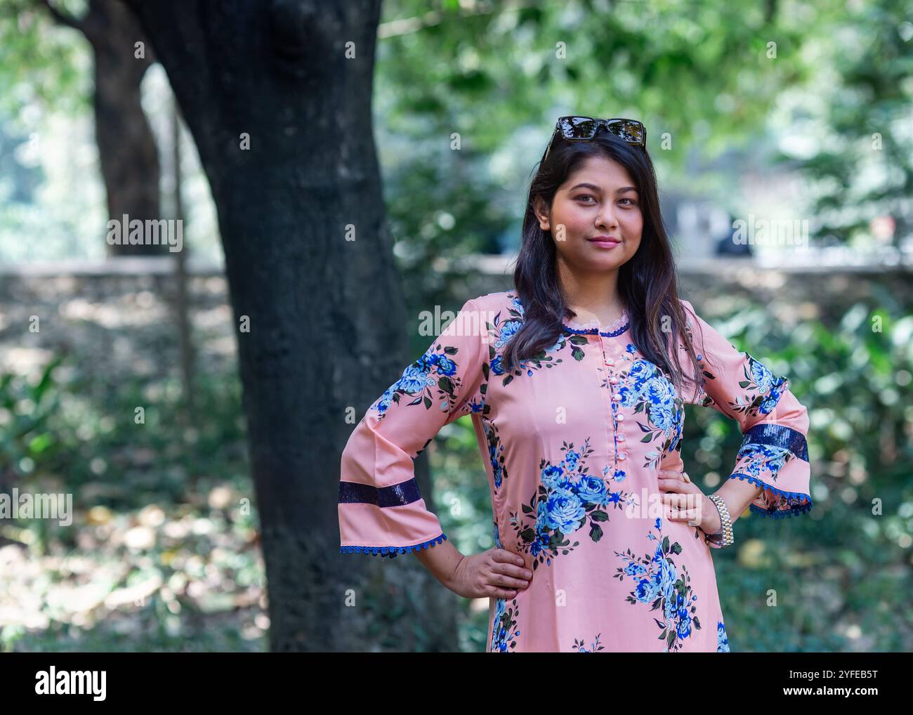 Beauty of indian lady hi-res stock photography and images - Alamy