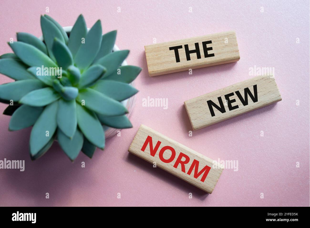 The new norm symbol. Concept words The new norm on wooden blocks ...