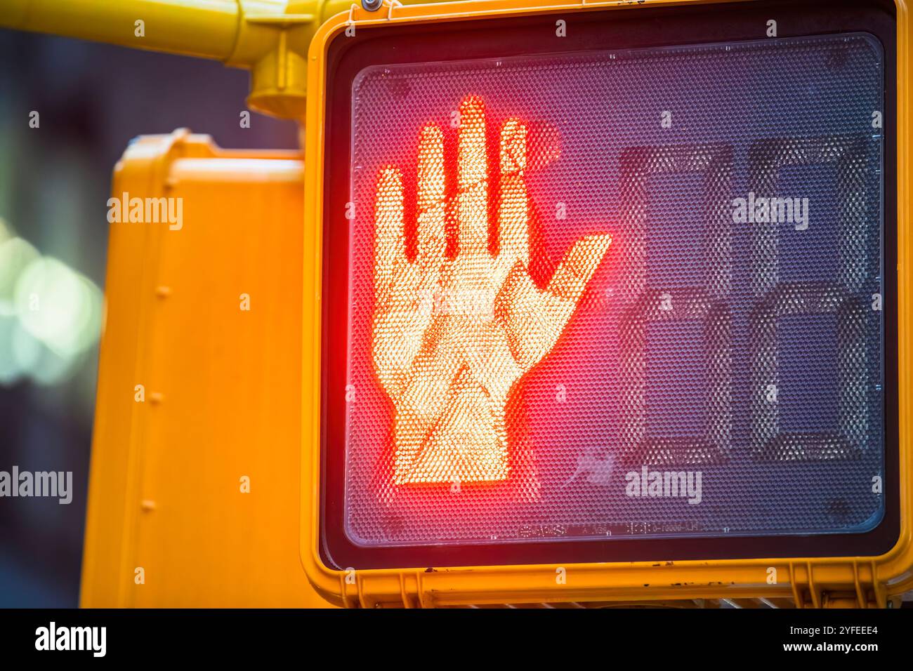 A close-up of an illuminated red hand pedestrian signal at a New York ...