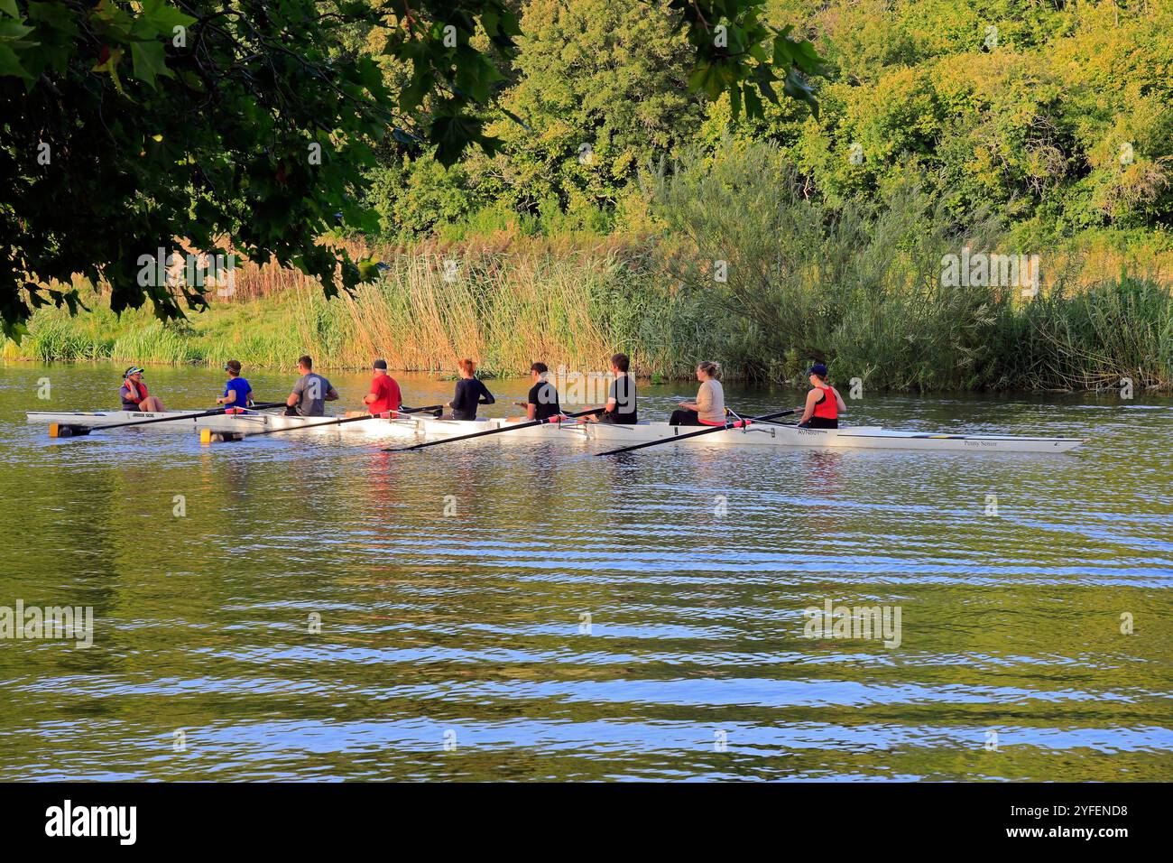 Coxed eight shell scull (eight-man crew with single oars) cox. River ...