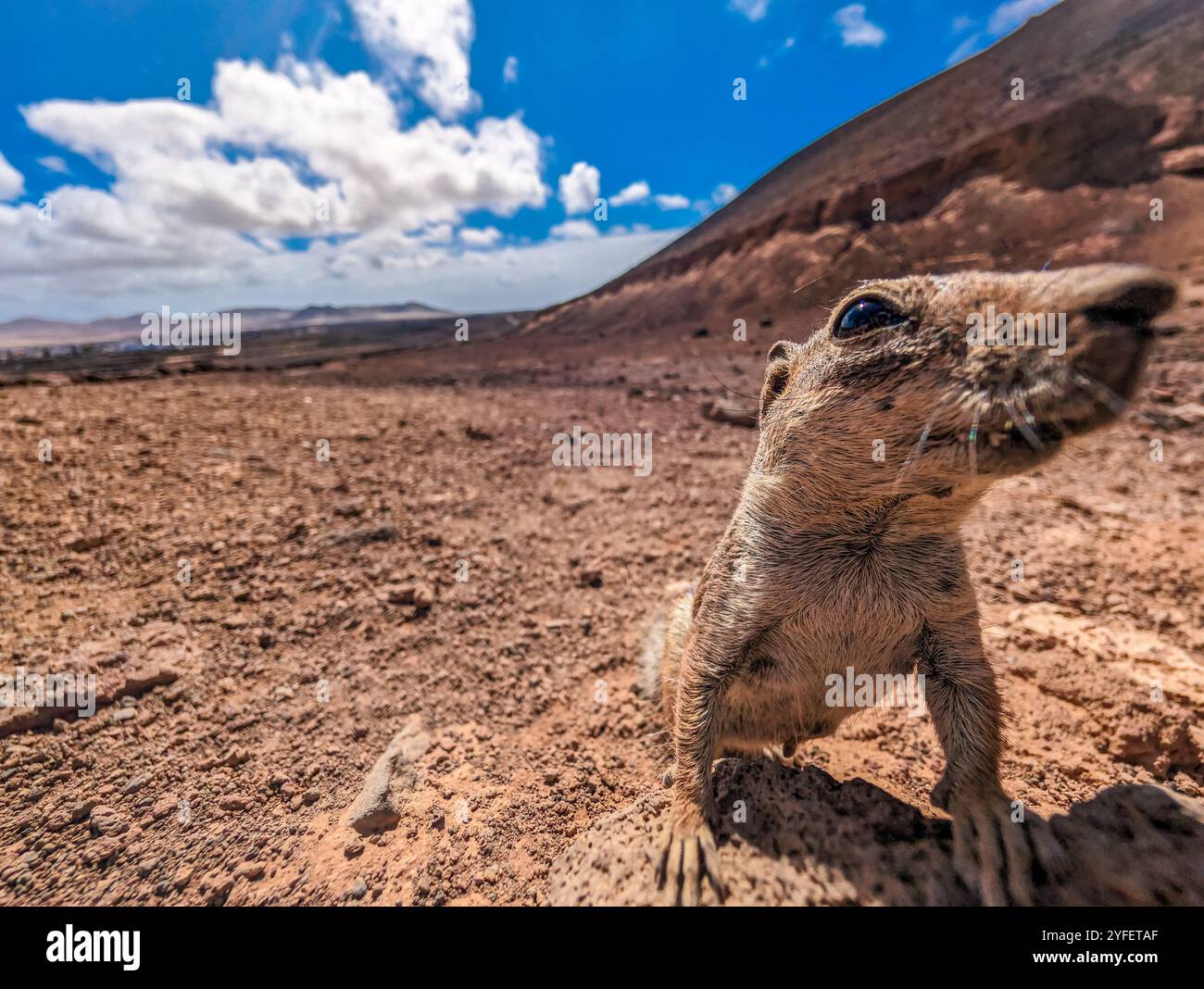 The Calderon Hondo volcano walk, Fuerteventura, Canary Islands Stock ...
