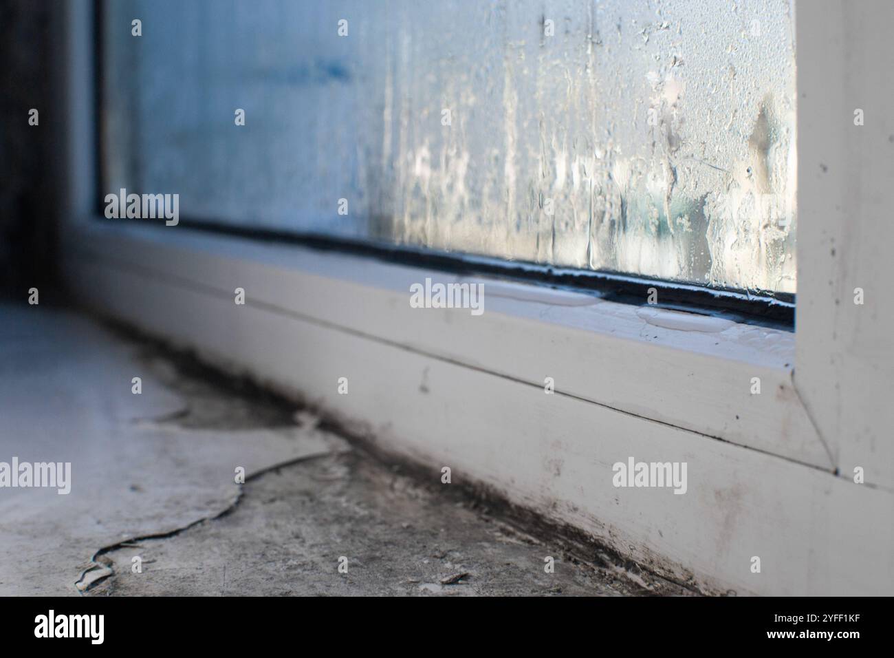 mold on the window, water running down the glass. poor heating. The ...