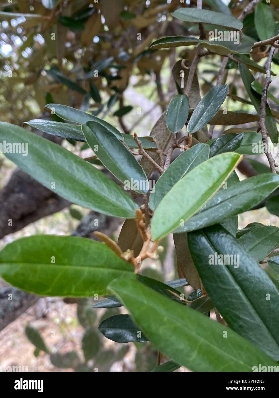 Quadrella hi-res stock photography and images - Alamy