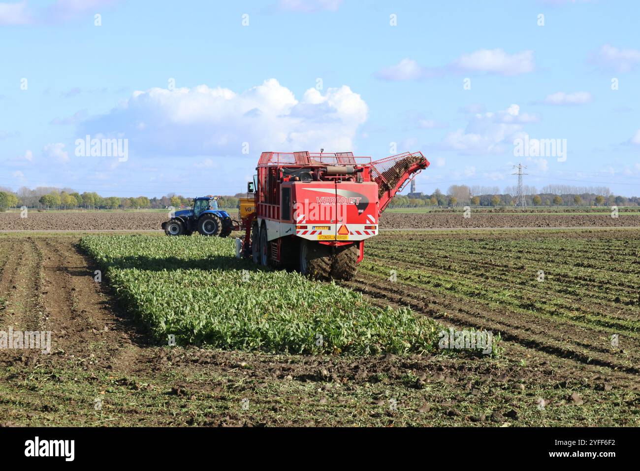 Sugar beet in harvester trailer hi-res stock photography and images - Alamy