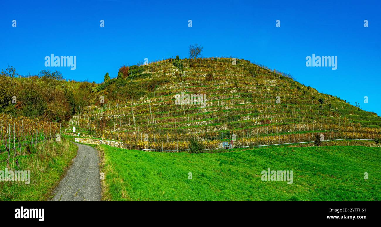 The beautiful Schloss Neuweier winery between Sinzheim and Buehl. Baden ...