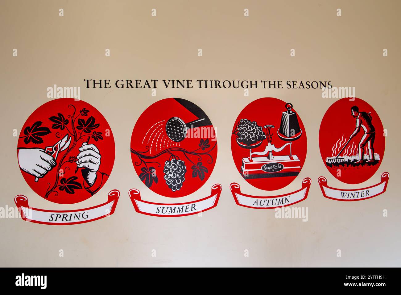 Illustration depicting the seasonal cycle of viticulture with symbolic ...