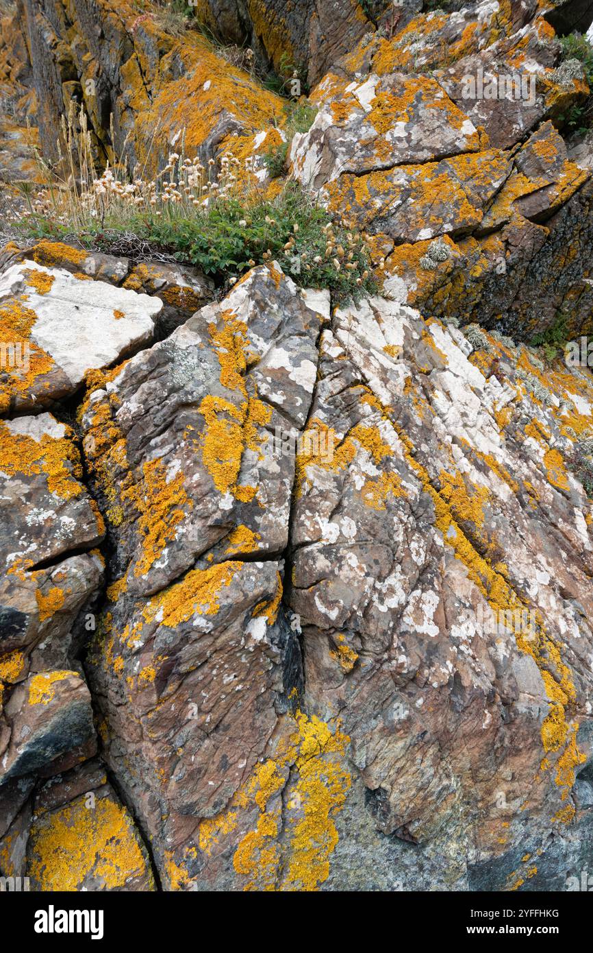Heavily fissured, lichen-encrusted soapstone rock outcrop at an old ...