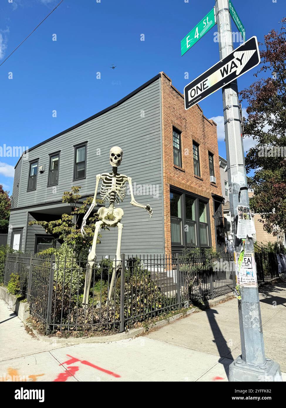 Tall skeleton hi-res stock photography and images - Alamy