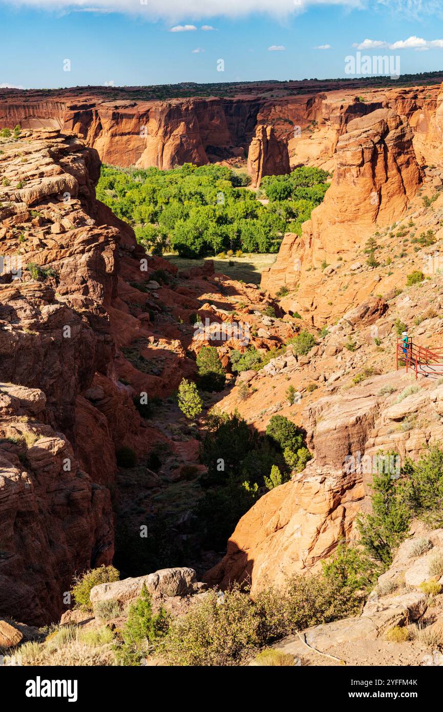 Tourist views Tunnel Overlook; Canyon de Chelly National Monument ...