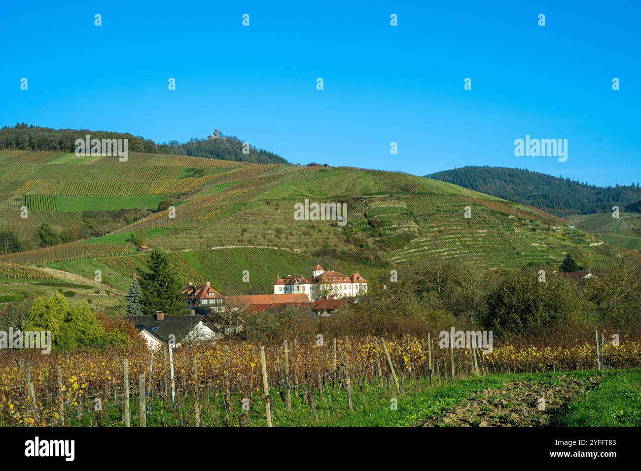 The beautiful Schloss Neuweier winery between Sinzheim and Buehl. Baden ...