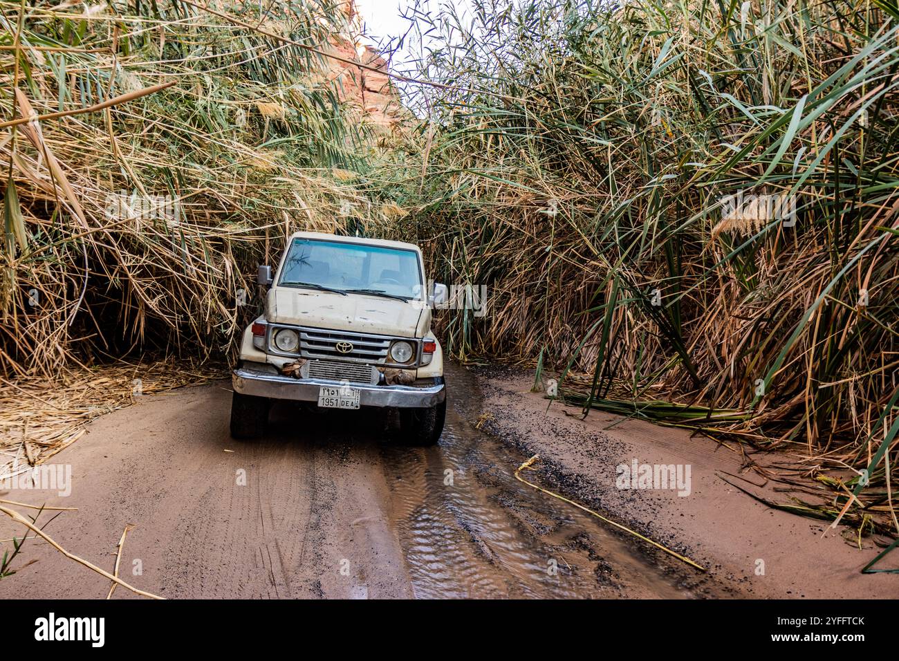 WADI DISAH, SAUDI ARABIA - NOVEMBER 7, 2021: Vehicle going through ...
