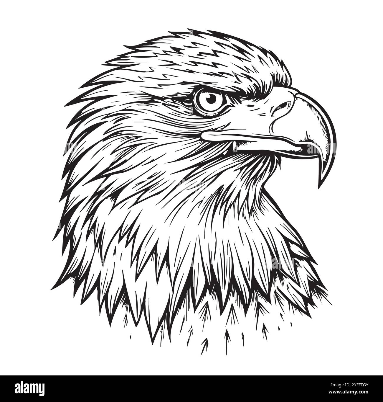 Black and white eagle head drawing on white background Stock Vector ...