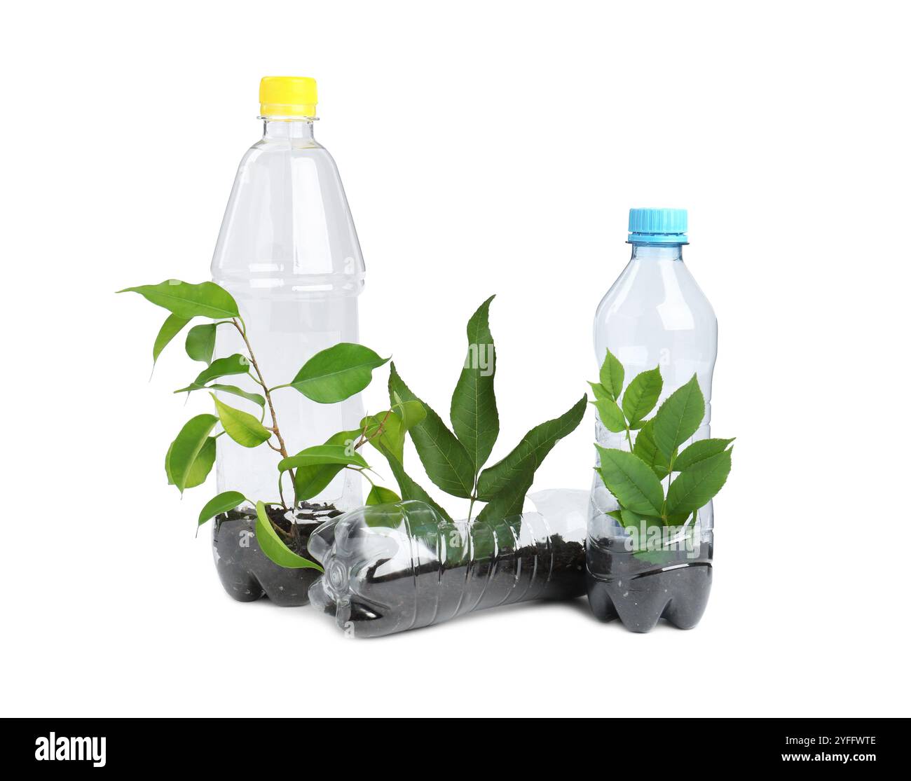 Plants growing plastic bottles hi-res stock photography and images - Alamy